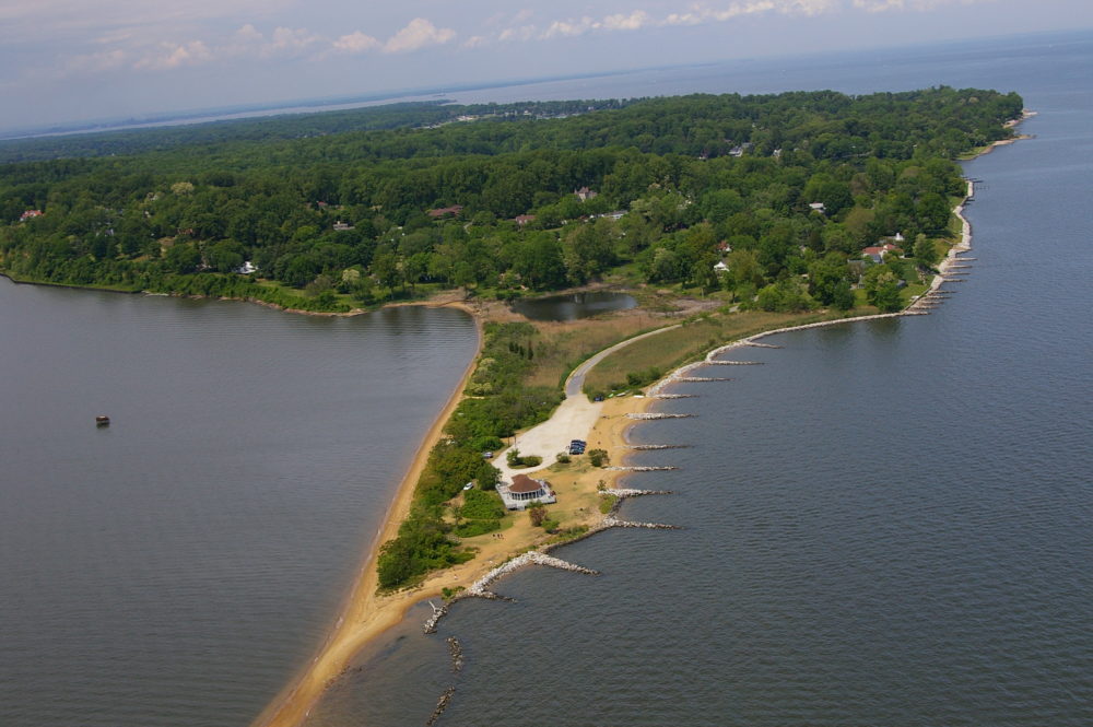 Capt. Denver Sanner - Gibson Island, MD | Harbormaster Appreciation Day